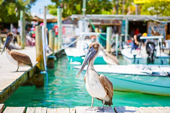 Key West and Overseas Highway Self-Guided Audio Tour - Who Would Love This Tour?