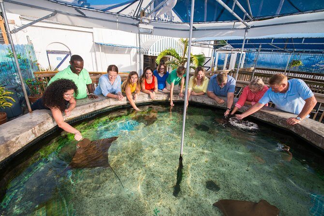 Key West Aquarium Admission - Location and Access: Right in the Heart of Key West
