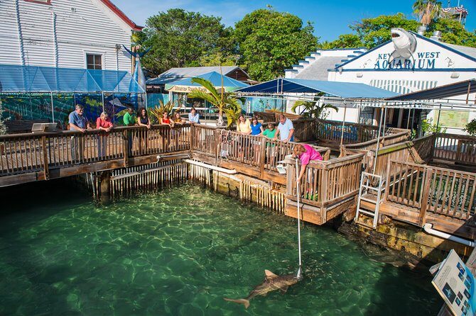 Key West Aquarium Admission - Accessibility and Practical Tips