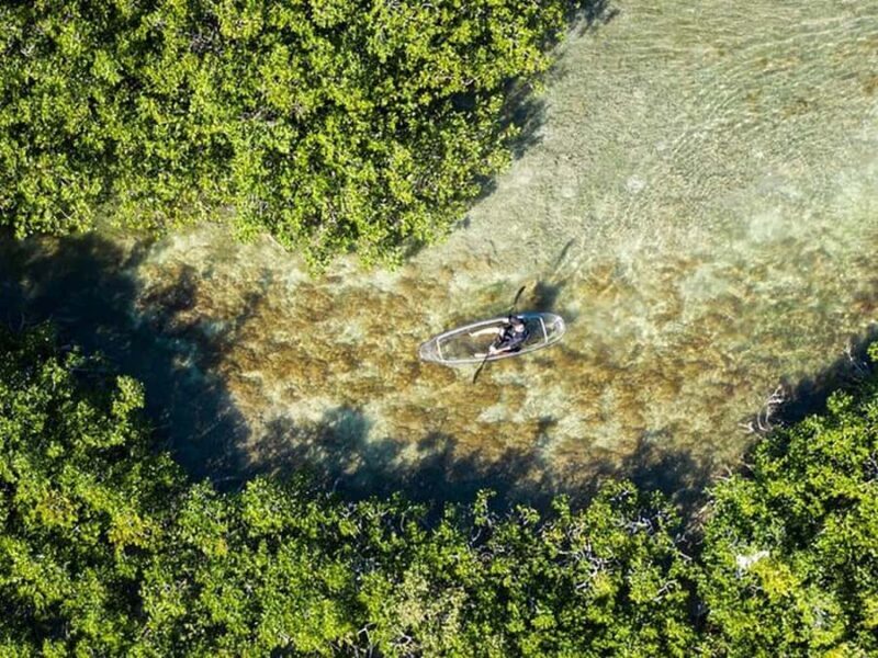 Key West Area: Guided Clear Kayak Eco-Tour - What is the Experience Like?