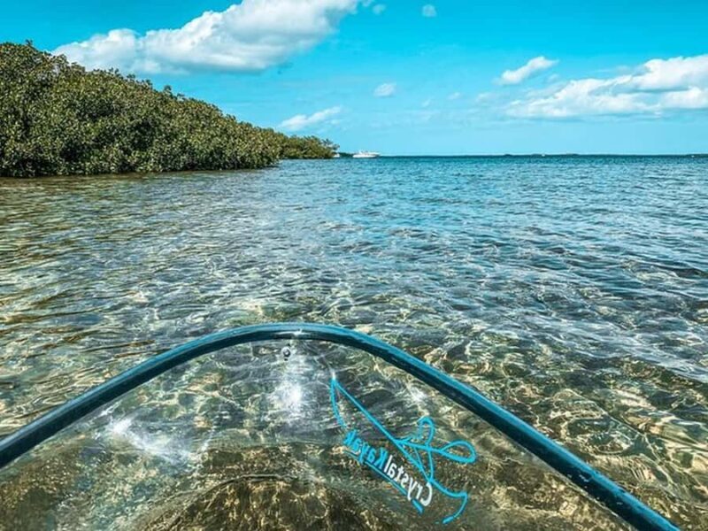 Key West Area: Guided Clear Kayak Eco-Tour - The Guide: Knowledge and Hospitality