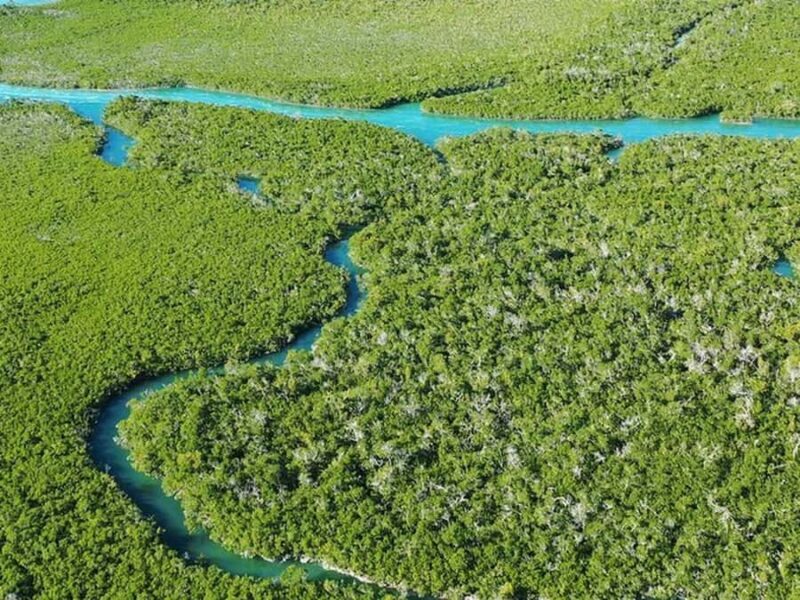Key West Area: Guided Clear Kayak Eco-Tour - What To Bring and Wear