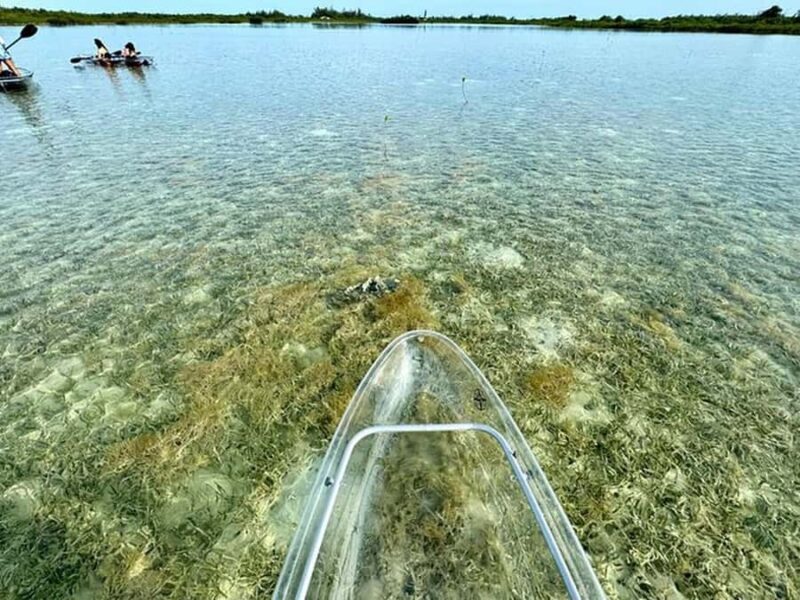 Key West Area: Guided Clear Kayak Eco-Tour - FAQ