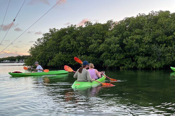 Key West Clear Kayak Eco Tour - Who Will Love This Tour?