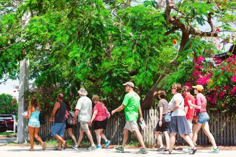 Key West: Cuban and Caribbean Food and Cultural Walking Tour - An In-Depth Look at What to Expect: Food, Neighborhoods, and Stories