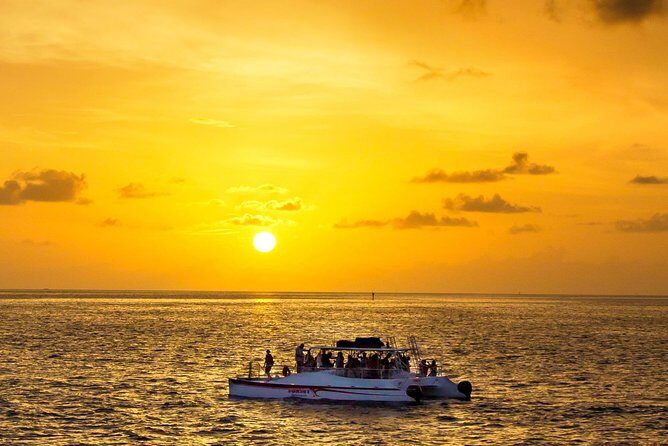 Key West Dolphin and Snorkel Experience - What to Expect on this Key West Marine Adventure