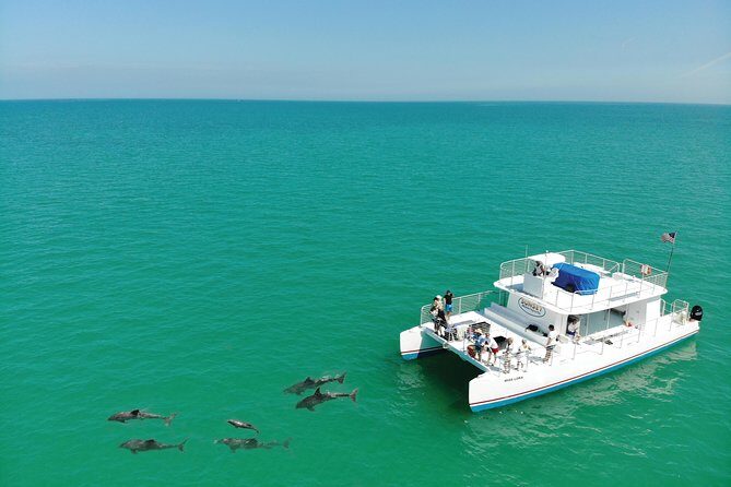 Key West Dolphin and Snorkel Experience - Who Should Consider This Tour?