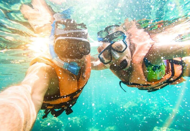 Key West: Dolphin & Reef Snorkel Trip with Sunset Option - Key Points