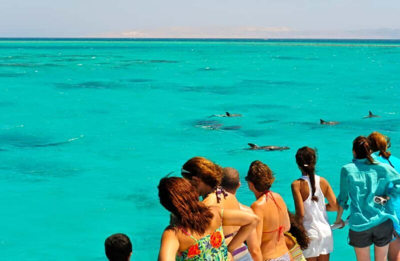 Key West: Dolphin & Reef Snorkel Trip with Sunset Option - Value and Practical Details