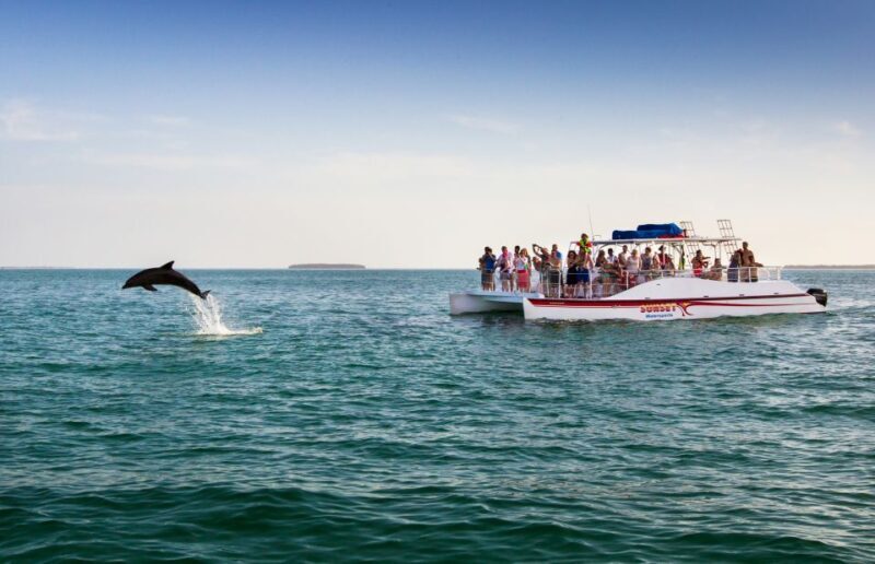 Key West: Dolphin & Reef Snorkel Trip with Sunset Option - An In-Depth Look at the Experience