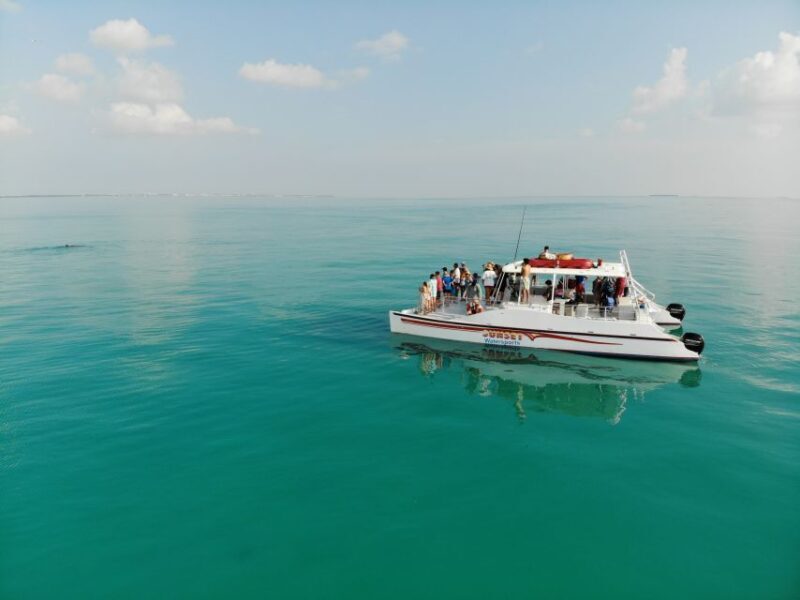Key West: Dolphin & Reef Snorkel Trip with Sunset Option - Who Will Love This Tour?