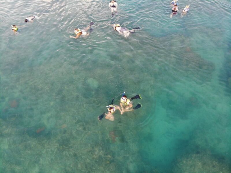 Key West: Dolphin & Reef Snorkel Trip with Sunset Option - FAQs