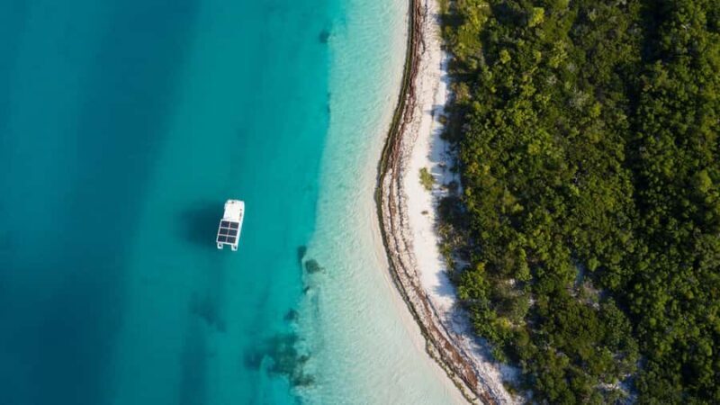 Key West: Dolphin Watch + Guided Snorkel with Honest Eco - An Introduction to the Honest Eco Experience in Key West