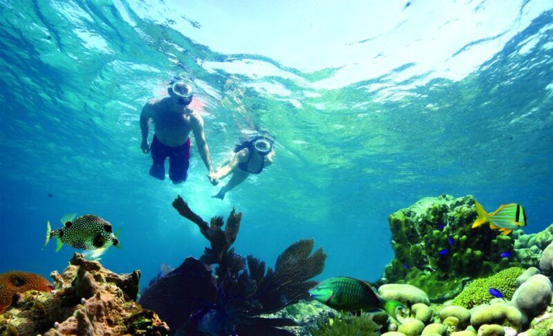 Key West: Dolphin Watching and Snorkeling Eco Cruise Tour - Who Will Love This Tour?