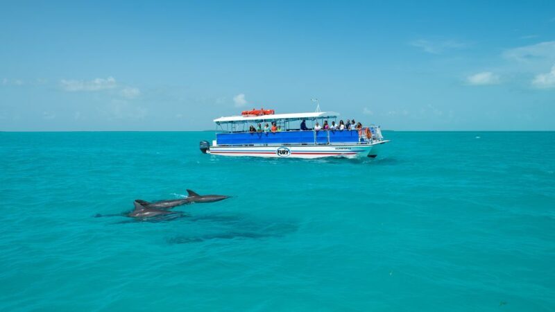 Key West: Dolphin Watching and Snorkeling Eco Cruise Tour - Final Thoughts