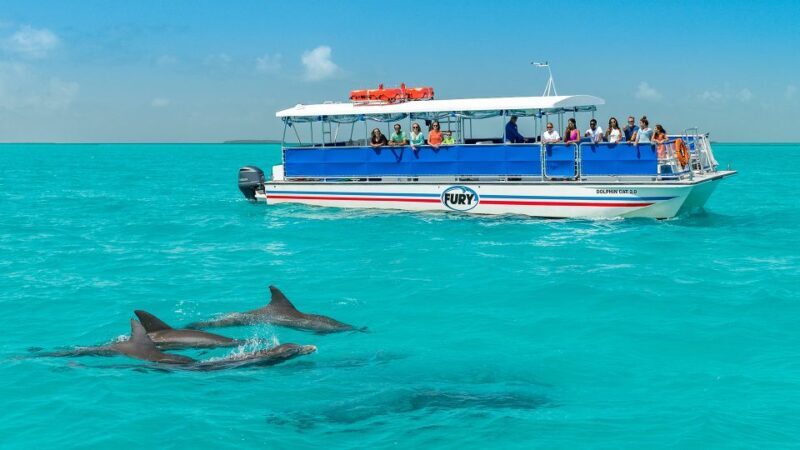 Key West: Dolphin Watching and Snorkeling Eco Cruise Tour - Experience Overview and What You Can Expect