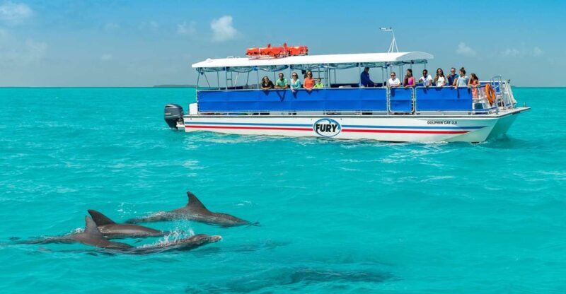 Key West: Dolphin Watching and Snorkeling Eco Cruise Tour - What to Keep in Mind
