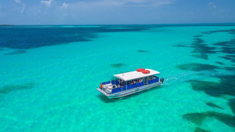 Key West: Dolphin Watching and Snorkeling Eco Cruise Tour - Who Would Love This Experience?