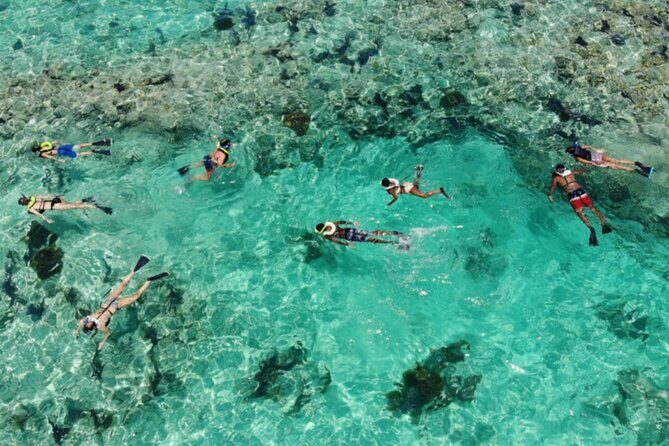 Key West: Dolphin Watching cruise & Snorkeling unlimited beer & soda - The Sum Up