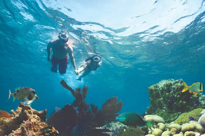 Key West Double-Dip Snorkel Tour-Two Stops, Twice the Fun! - How the Tour Works: A Closer Look