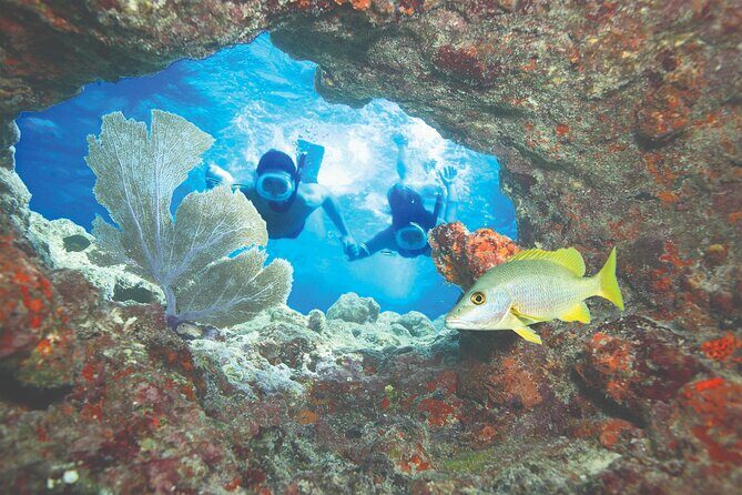 Key West Double-Dip Snorkel Tour-Two Stops, Twice the Fun! - FAQ