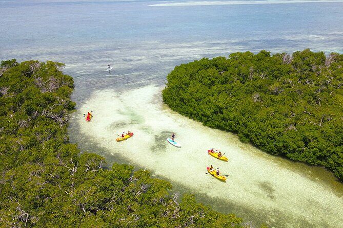 Key West Hidden Sanctuary Mangrove Kayak Tour With Drinks - Key Points