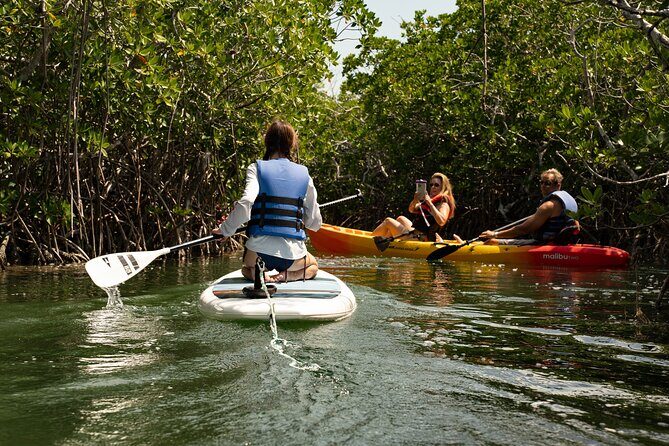 Key West Hidden Sanctuary Mangrove Kayak Tour With Drinks - An In-Depth Look at the Tour Experience