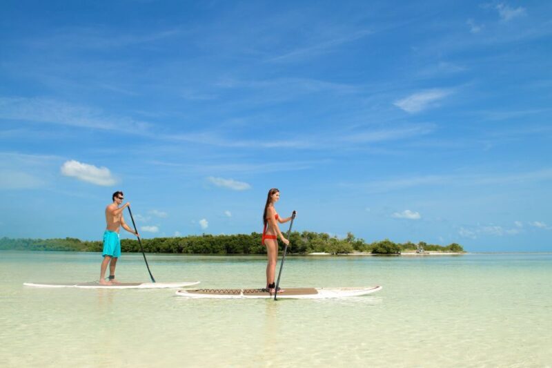 Key West: Island Adventure Explore the Hidden Backcountry - The Sandbar Experience: Relaxation and Water Fun
