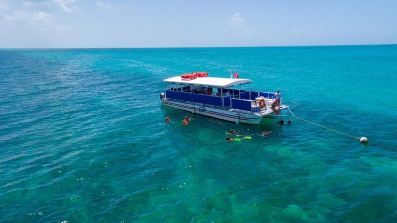 Key West: Island Adventure Explore the Hidden Backcountry - The Return Journey: Leisurely and Comfortable