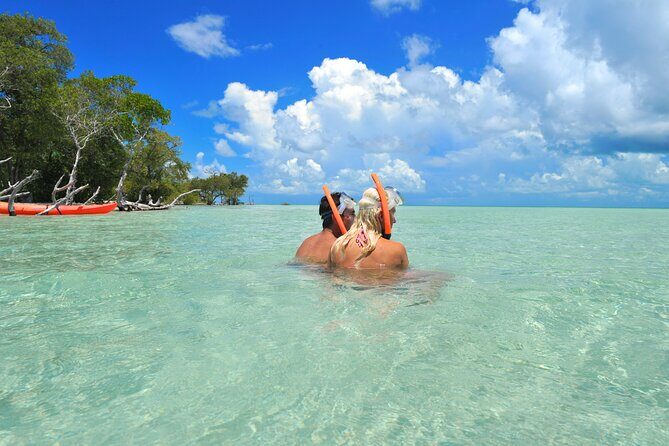 Key West Island Eco Tour with Transportation from Miami - A Practical Look at the Itinerary
