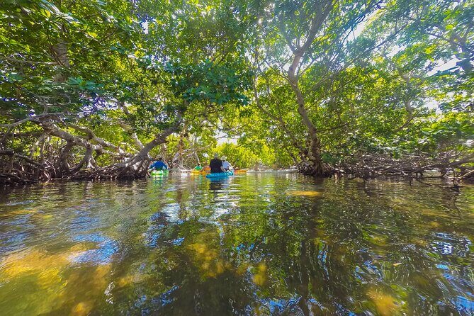Key West Island Eco Tour with Transportation from Miami - FAQ