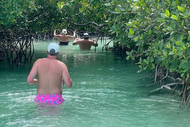 Key West Kayak Eco Tour | An Eco-Friendly Adventure Awaits! - Value and Pricing