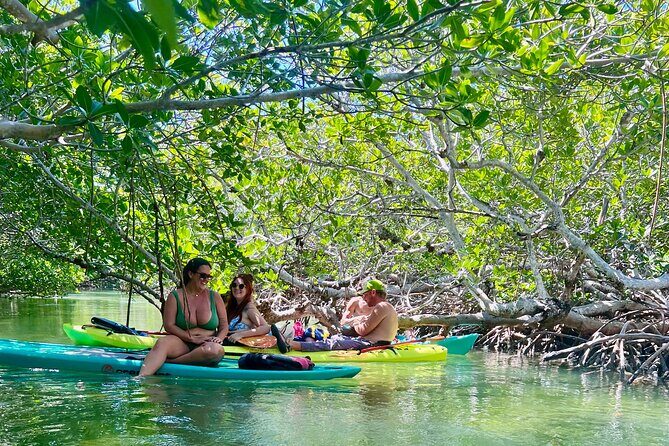 Key West Kayak Eco Tour | An Eco-Friendly Adventure Awaits! - Weather and Cancellation