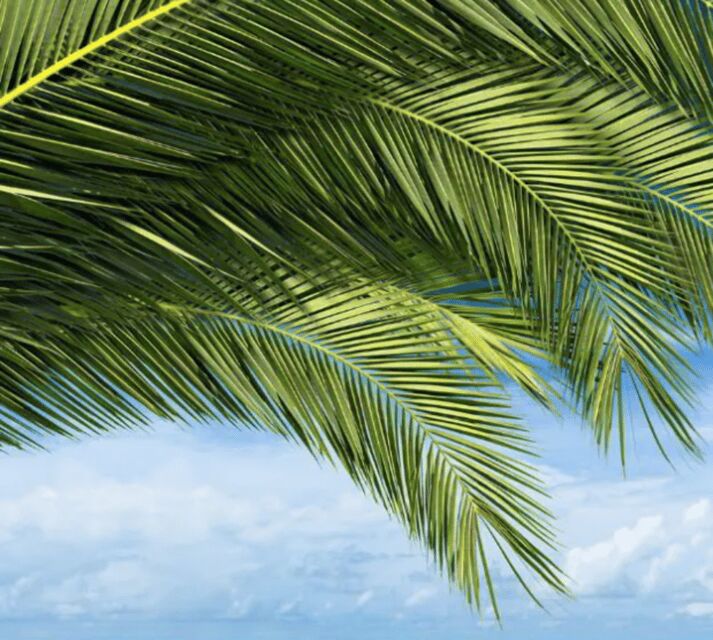 Key West: Luggage Services - The Sum Up: Who Should Consider This Service?