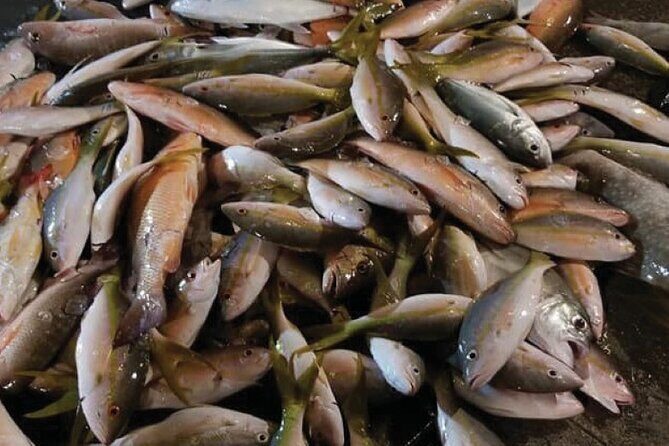 Key West Night Fishing Head Boat Fishing Trip - Who Should Consider This Night Fishing Trip?