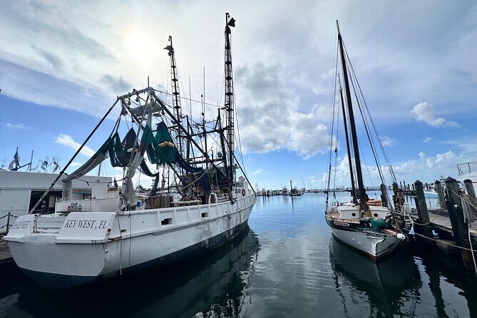 Key West Odyssey: Uncover Island Secrets, Walk by Locals - Experience Quality and Practical Details