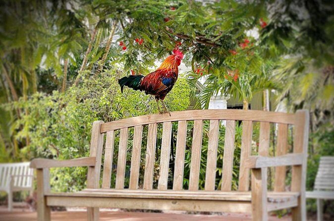 Key West Odyssey: Uncover Island Secrets, Walk by Locals - The Sum Up: Who Will Love This Tour?