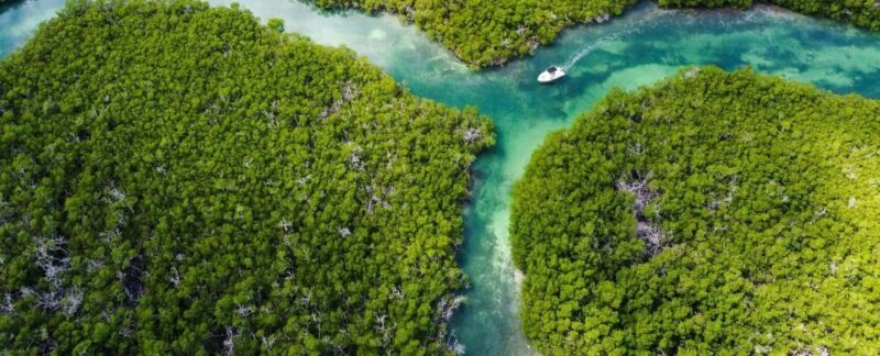 Key West: Private Boat Charter with Captain - First Impressions: A Personal Touch on the Water