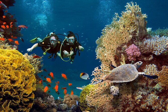 Key West Private Tour Tailor Made - FAQ