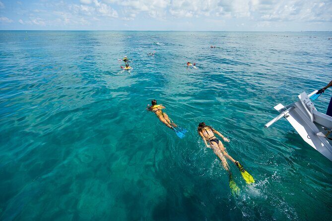 Key West Ragin' Cajun Seafood Two Stop Snorkel Adventure - An In-Depth Look at What You Can Expect