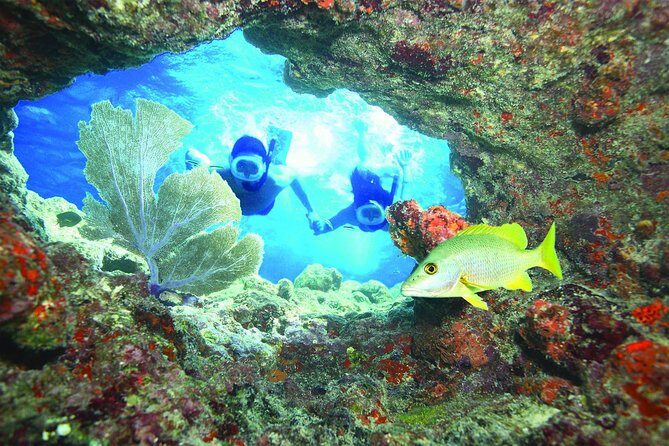 Key West Reef Snorkel  Morning Mimosas or Afternoon Margaritas - An In-Depth Look at the Key West Reef Snorkel Tour