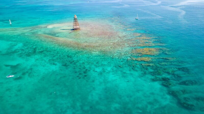 Key West: Reef Snorkel Morning Tour with Breakfast & Mimosas - Post-Snorkel Relaxation & Refreshments