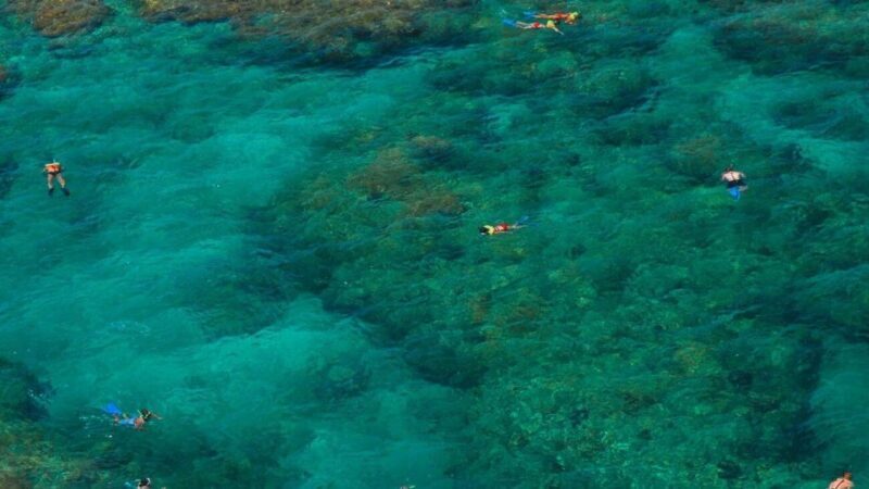 Key West: Reef Snorkeling with Drinks and Sunset Option - A Comfortable Boat for All Your Needs