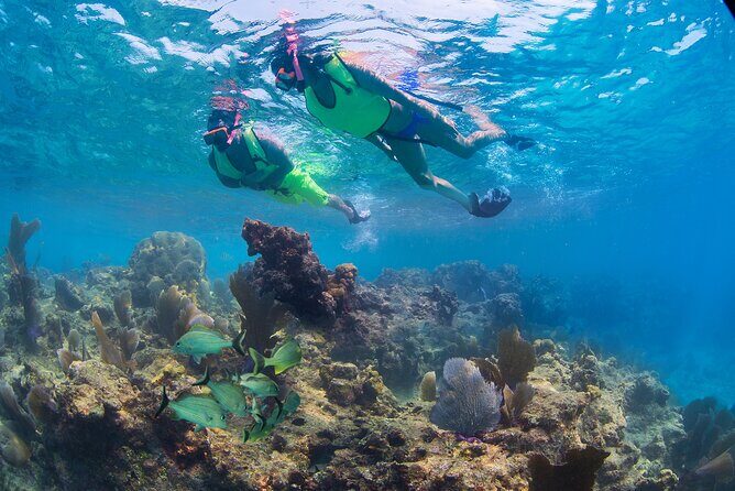 Key West Rum and Reggae: Reef Snorkel Adventure and Sunset Sail - The Sum Up