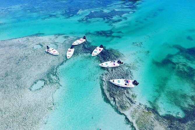 Key West Safari Eco Sandbar Tour Adventure with Snorkeling - Introduction