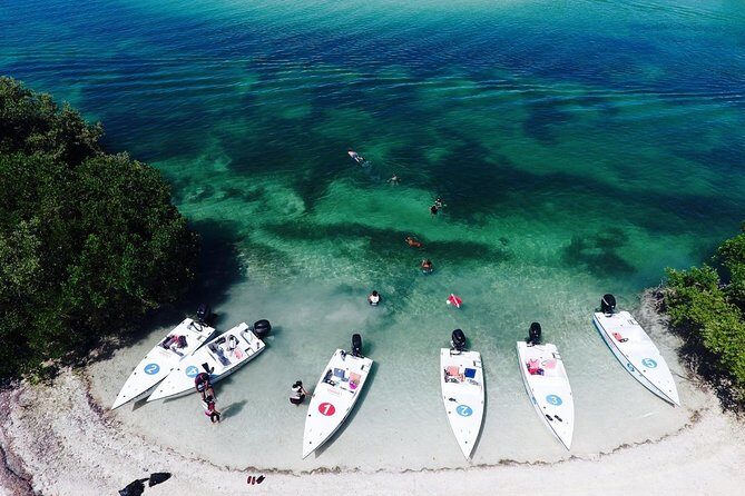 Key West Safari Eco Sandbar Tour Adventure with Snorkeling - Key Points