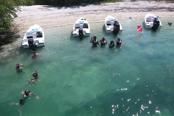 Key West Safari Eco Sandbar Tour Adventure with Snorkeling - What Makes This Tour Stand Out