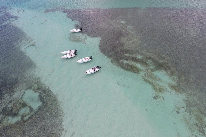 Key West Safari Eco Sandbar Tour Adventure with Snorkeling - Analyzing the Value and Cost