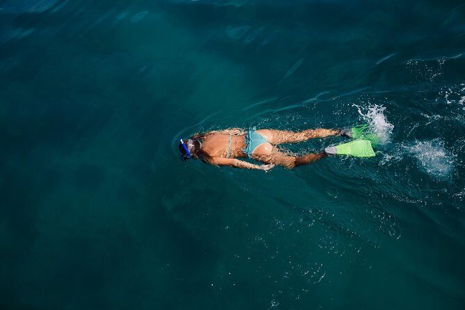 Key West Safari Eco Sandbar Tour Adventure with Snorkeling - Summary of the Experience