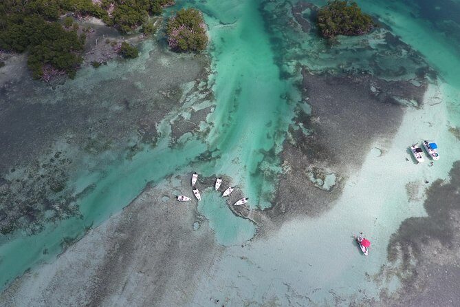 Key West Safari Eco Sandbar Tour Adventure with Snorkeling - Final Thoughts